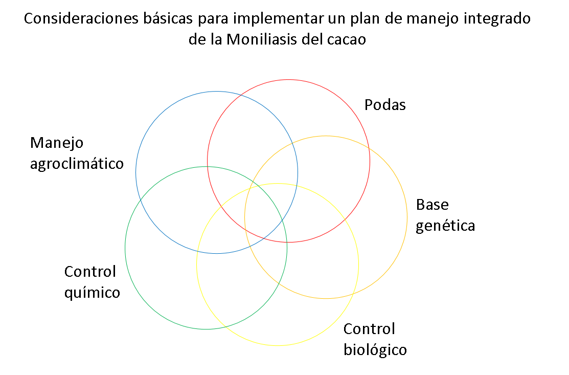 Manejo integrado de la moniliasis en cacao - Parte I - SisdeAgro SAS ...